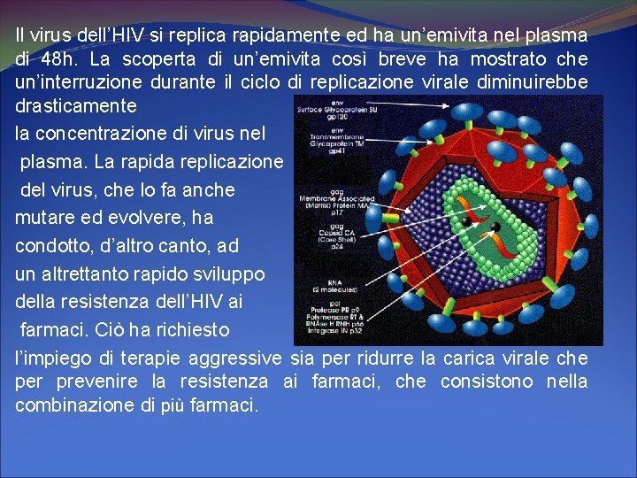BIOLOGIA APPLICATA AIDS E HIV La Sindrome da