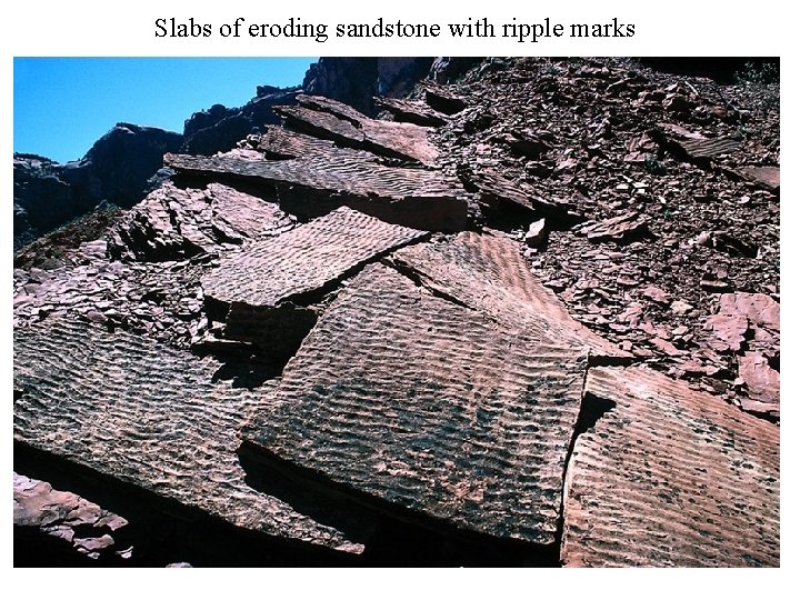 Lecture 6 7 Sedimentary and Metamorphic Rocks Part