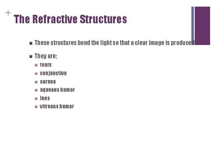 Structure and Function of the Eye SPE 516