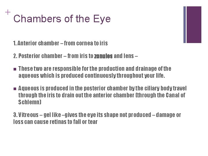 Structure and Function of the Eye SPE 516