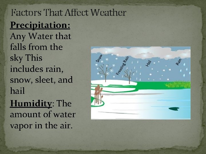Climate Weather and Vegetation Zones Factors That Affect