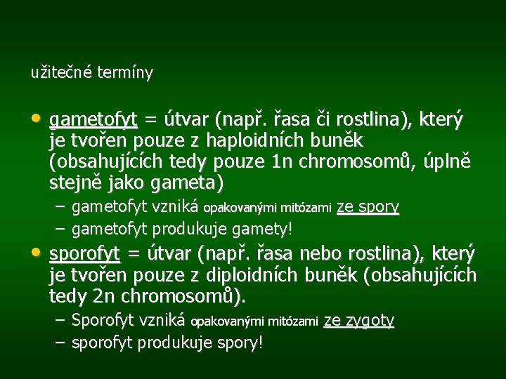 Mechorosty Bryophytae Bryophyta bryon mech phyton rostlina termn