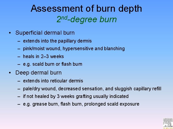 Pathophysiology of the burn wound Skin biology Pathophysiologic