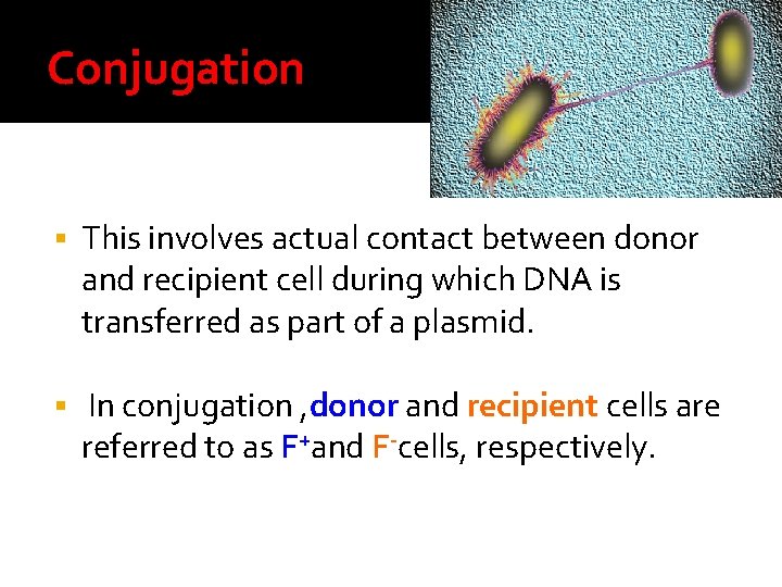 CLS 311 Basic Microbiology Lect 9 Bacterial Genatics