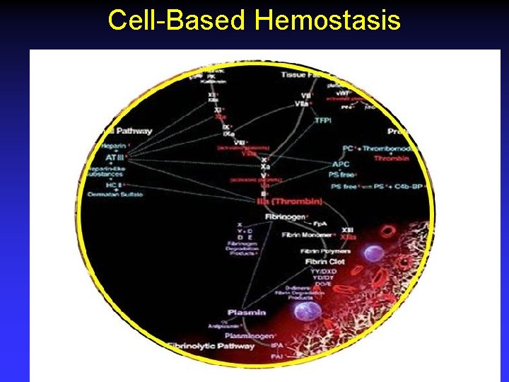 Clinical Utility of Thromboelastography TEG Lowell Chambers MD