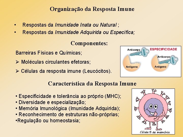 IMUNOLOGIA Caractersticas Gerais do Sistema Imune Humano Curso