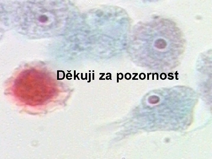 TKOV PARAZITI Petra Kubkov OKM jednobunn voln ijc