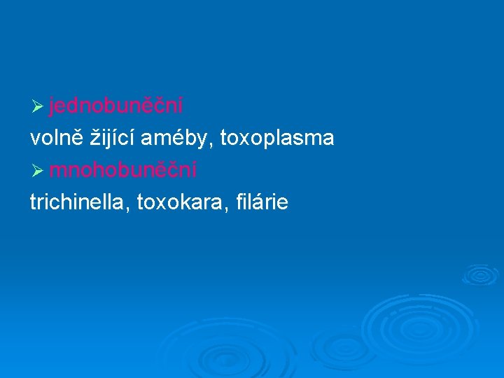 TKOV PARAZITI Petra Kubkov OKM jednobunn voln ijc