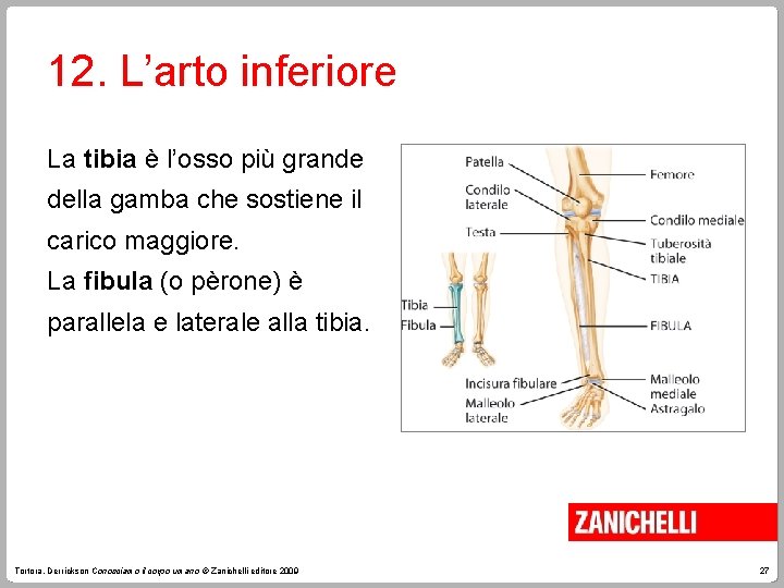 Gerard Tortora Brian Derrickson Conosciamo il corpo umano