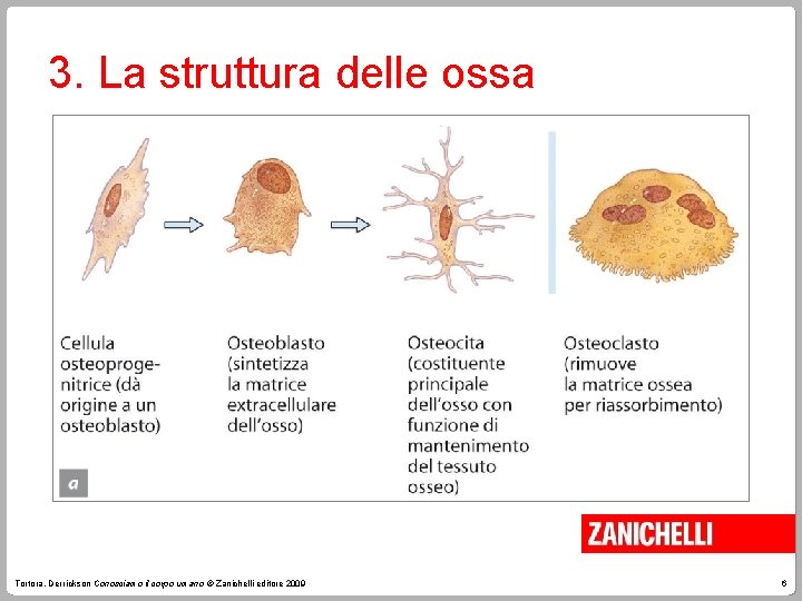 Gerard Tortora Brian Derrickson Conosciamo il corpo umano