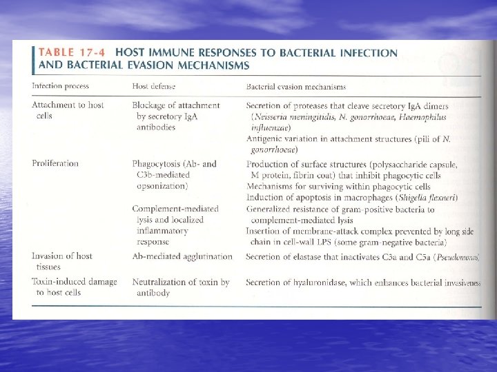 Routes of Bacterial Infection Respiratory tract Gastrointestinal Tract