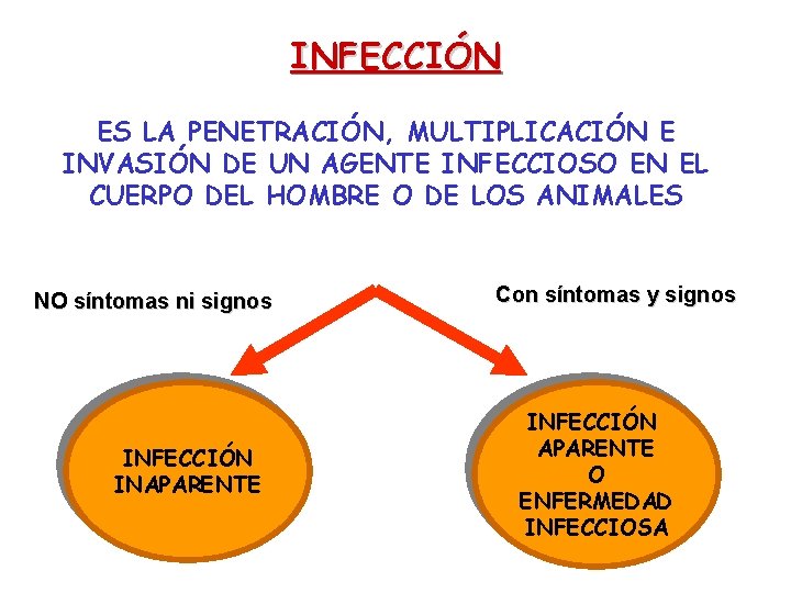 Facultad de Ciencias Mdicas General Calixto Garca EPIDEMIOLOGA