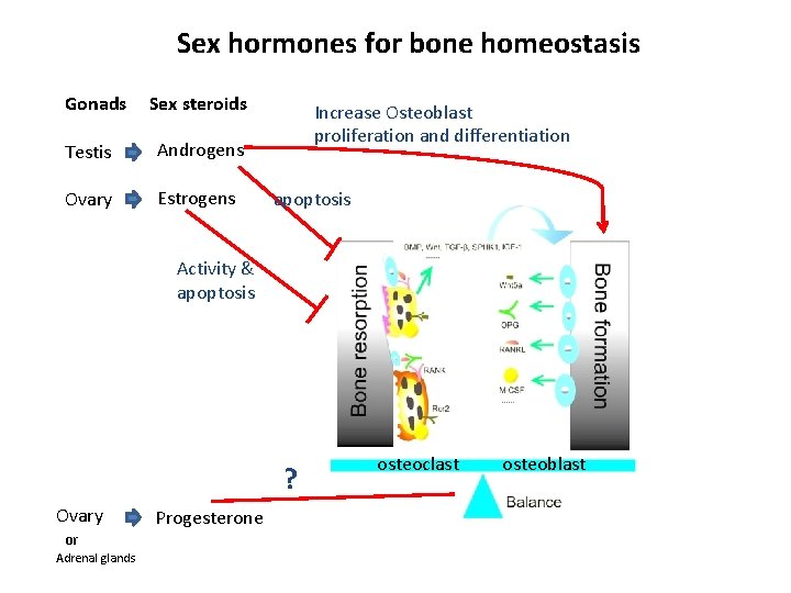 Lunch Science Journal Club as part of the