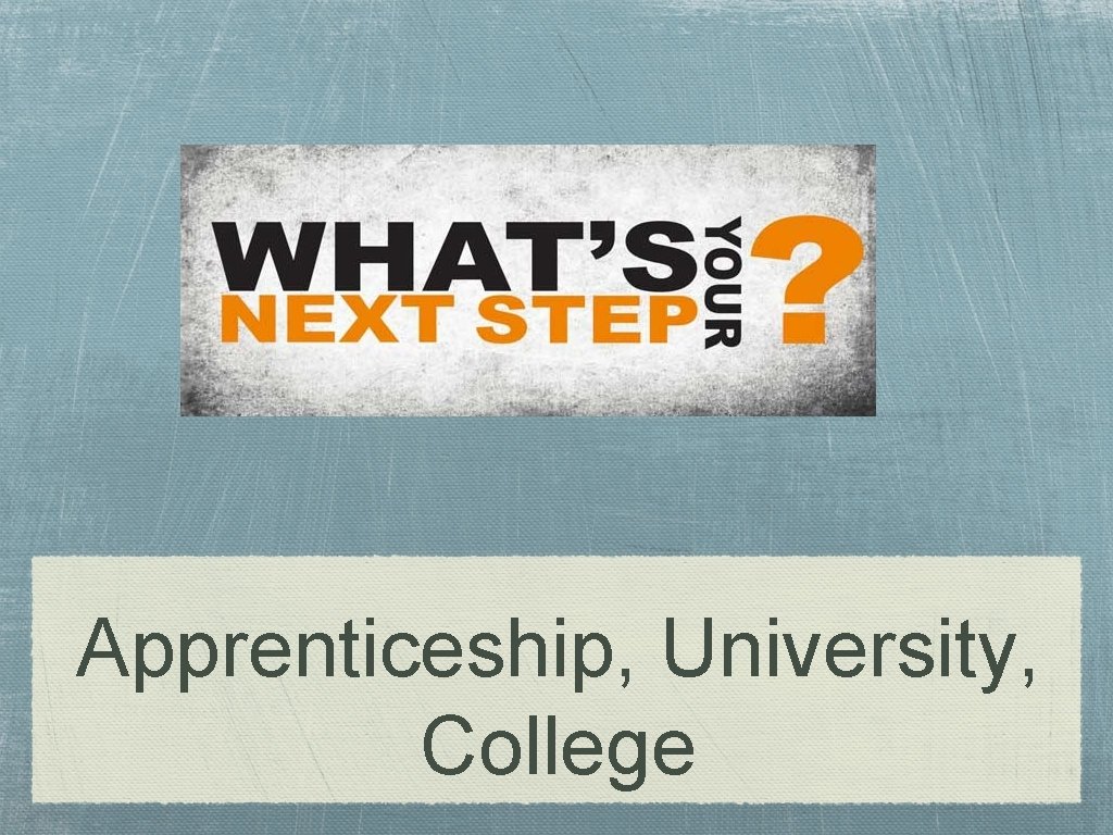 Apprenticeship University College Type of Educational Experience ...