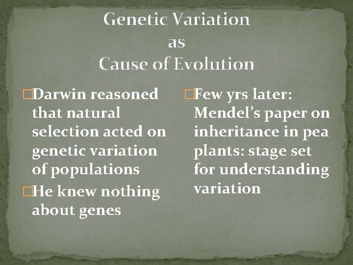 AP Biology Chapter 23 The Evolution of Populations