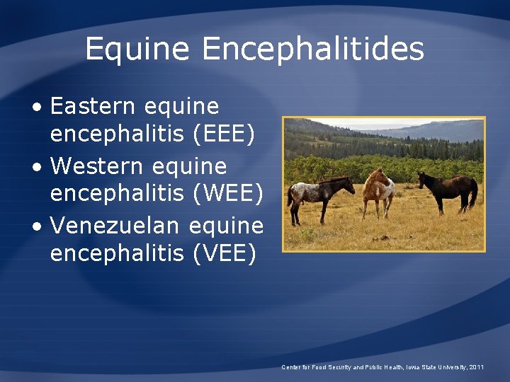 Equine Encephalitides Sleeping Sickness Eastern Equine Encephalitis EEE