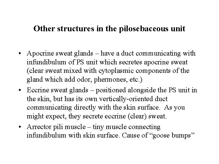 Clinical Overview of Acne Vulgaris Rich Callahan MSPA