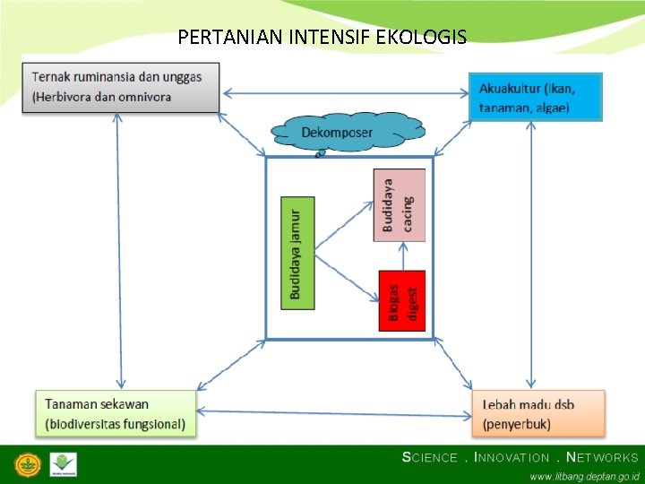 Sinergi Pengembangan Model Pertanian Bioindustri dengan Taman Sains