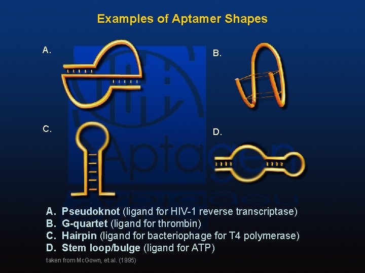 Size Comparison of Antibodies vs Aptamers Biosensor and
