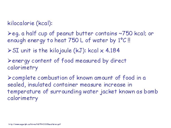 Energy Balance What should we teach our students