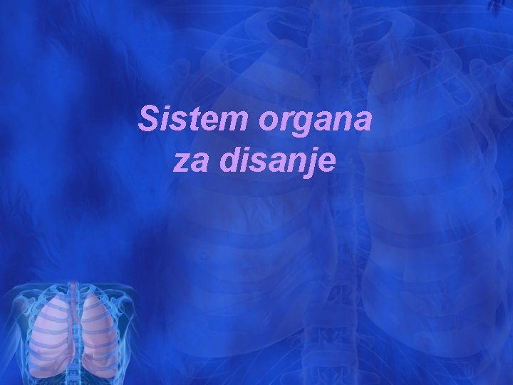 Sistem organa za disanje Sistem organa za disanje