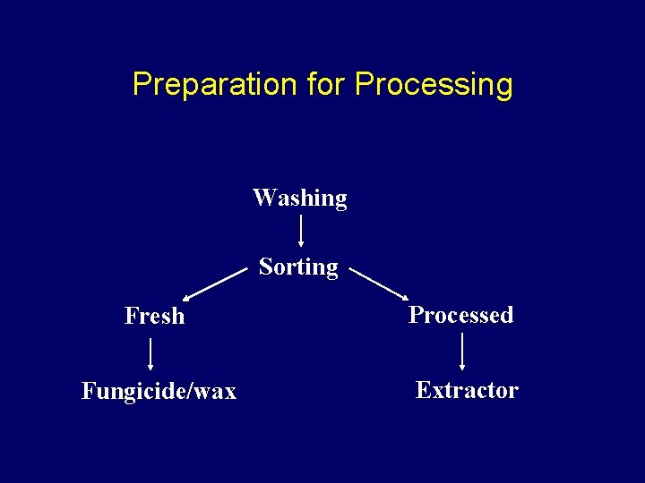 Orange Fruit Processing Luis CisnerosZevallos Ph D Department