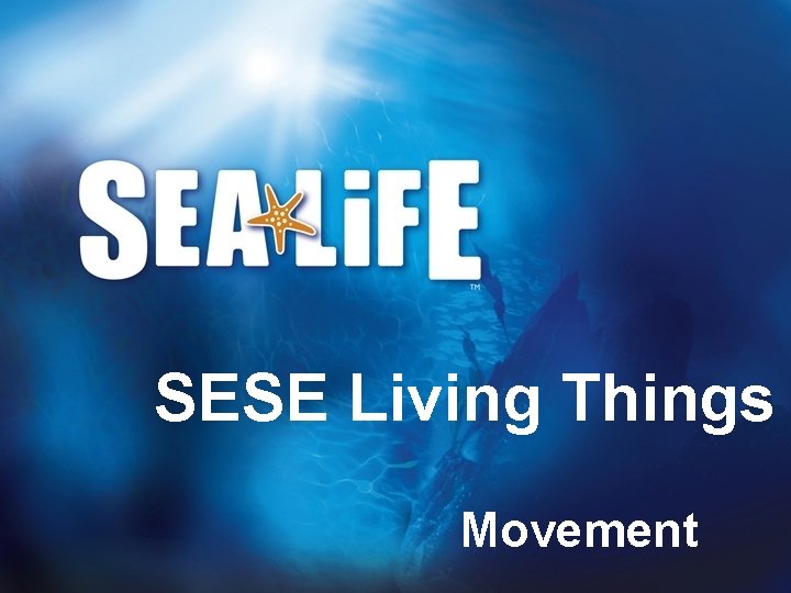 SESE Living Things Movement Living creatures All living