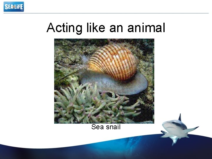 SESE Living Things Movement Living creatures All living