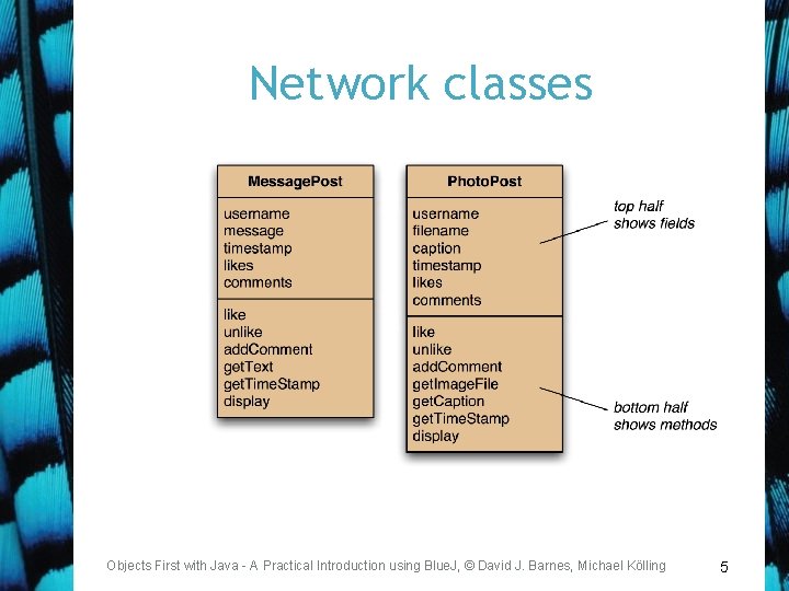 Improving structure with inheritance 5 0 Main concepts