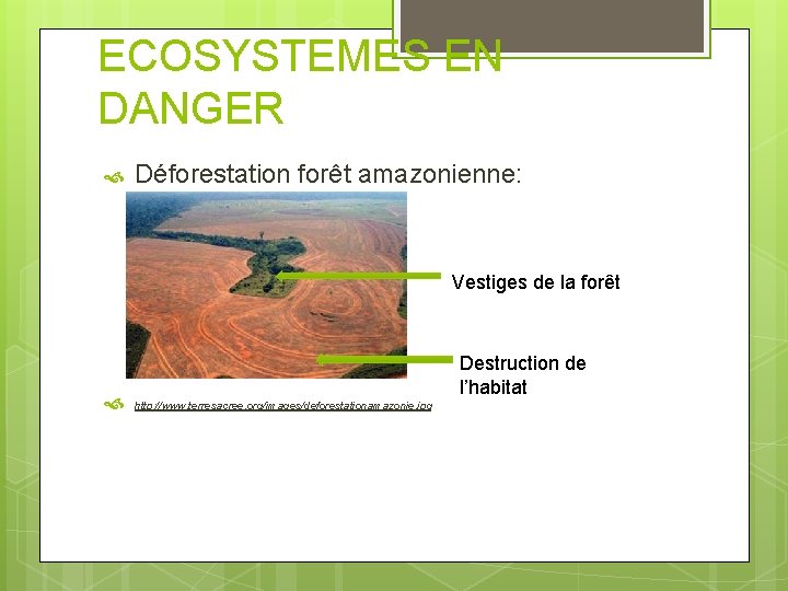 ACTION DE LHOMME SUR LA BIODIVERSI TE PLAN