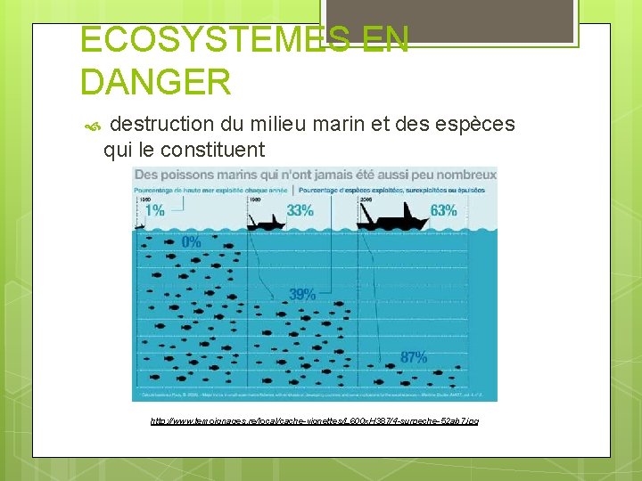 ACTION DE LHOMME SUR LA BIODIVERSI TE PLAN