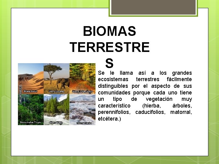 LOS BIOMAS 2 o ms ecosistemas compartiendo una