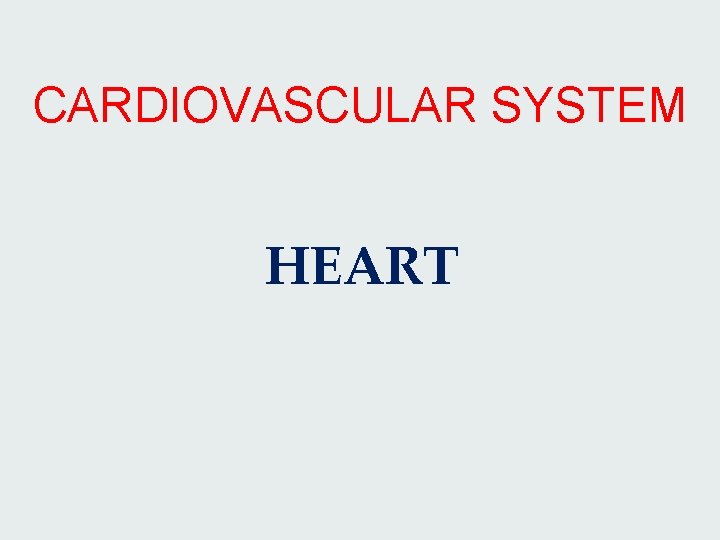 CARDIOVASCULAR SYSTEM HEART COR Atrium cordis Ventriculus cordis