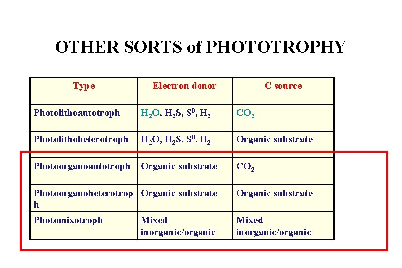 Nonoxygenic microbial photophysiologies in the ocean rhodopsin and