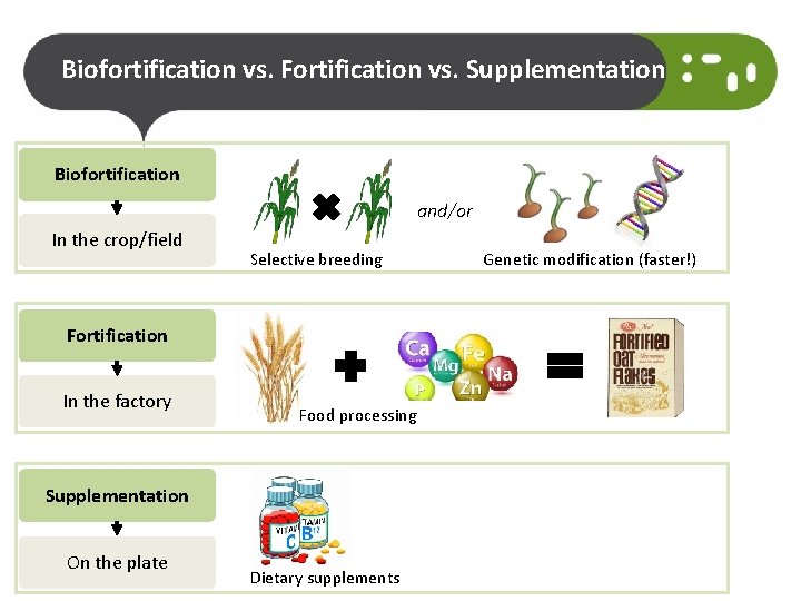 Biofortification fighting the hidden hunger Ana Margarida Rodrigues