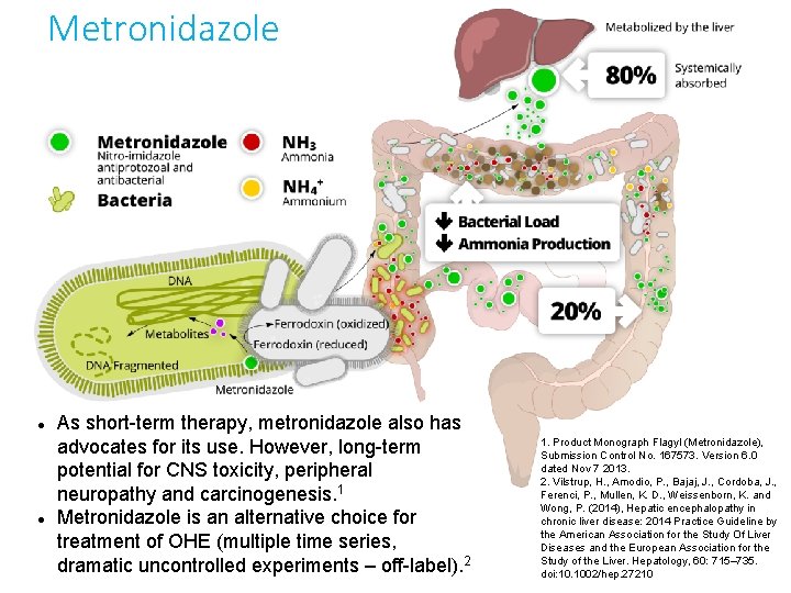 Hepatic Encephalopathy Exploring the neuropsychiatric consequences of ...