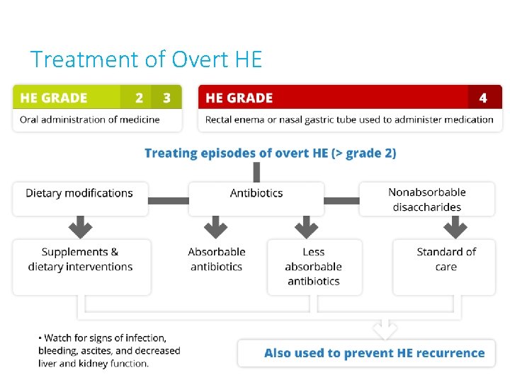 Hepatic Encephalopathy Exploring the neuropsychiatric consequences of ...