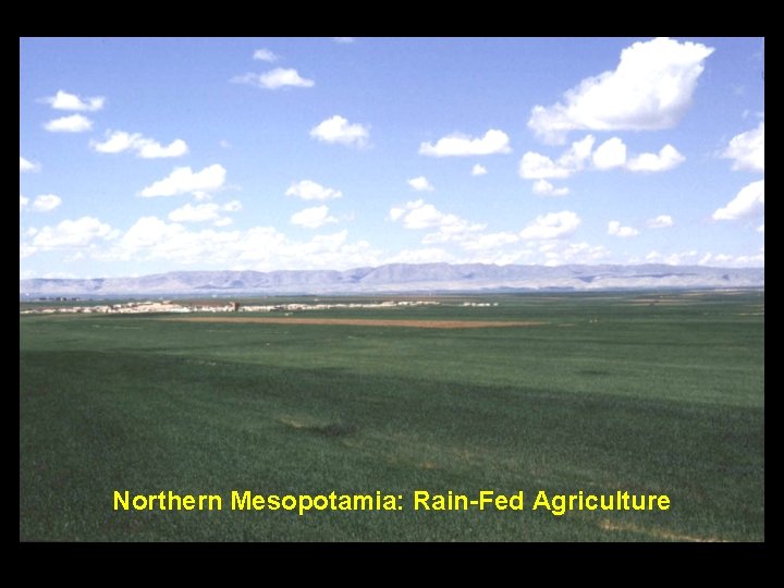 Water and Early Civilization in Mesopotamia Jason Ur