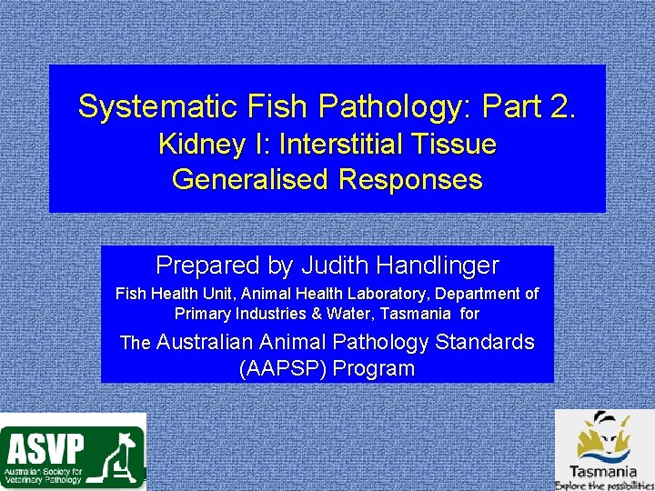Systematic Fish Pathology Part 2 Kidney I Interstitial