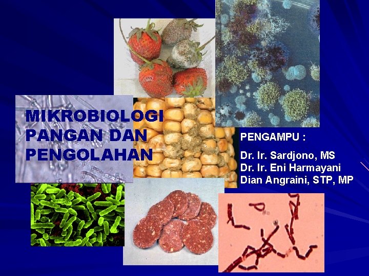 LINGKUP MATA KULIAH MIKROBIOLOGI PANGAN DAN PENGOLAHAN MIKROBIOLOGI