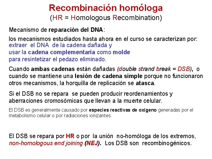 Recombinacin Gentica Recombinacin homloga general o recproca intercambio