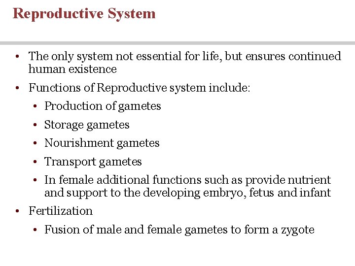 Anatomy Physiology SIXTH EDITION Lecture 28 The Reproductive