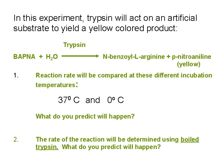 BIOL 204 Lab For Week 12 Digestive Enzymes