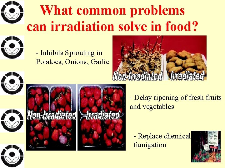 From the Farm to the Table A study