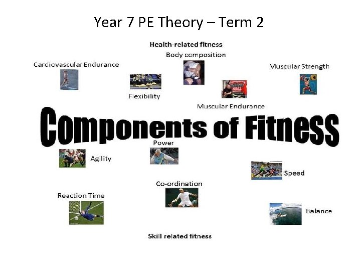 Year 7 PE Theory Term 2 Components of