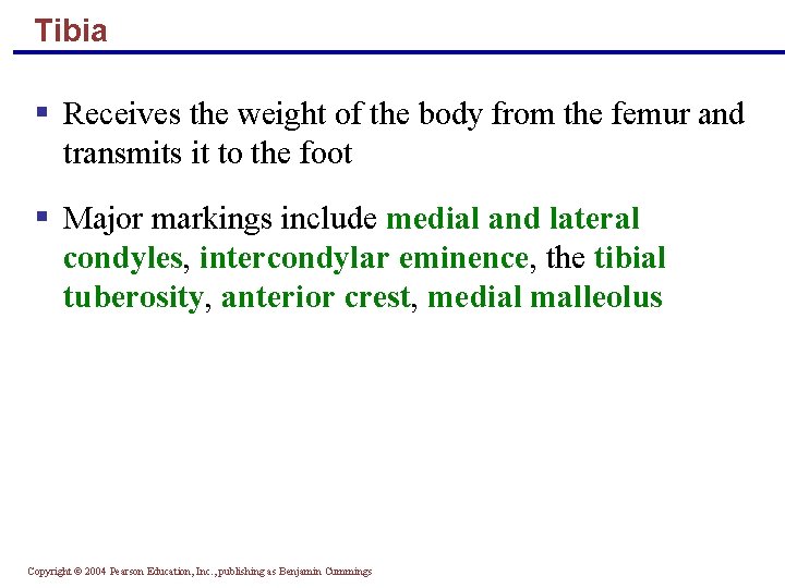 Power Point Lecture Slides prepared by Vince Austin