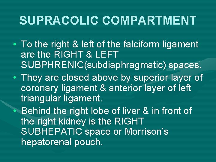 PERITONEAL SPACES AND RECESSES BY DR A PERVEZ