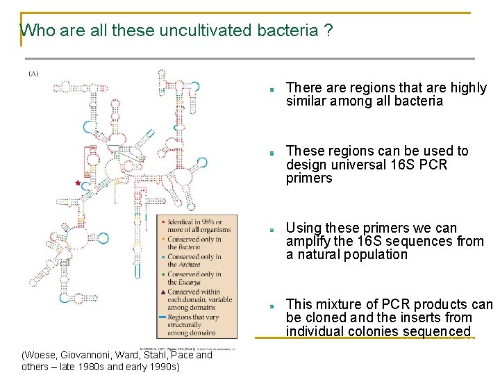 Microbial Community Analysis With thanks to Boris Wawrik