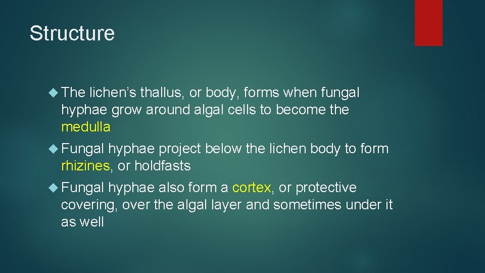Lichens Definition Lichens combination of a green algae