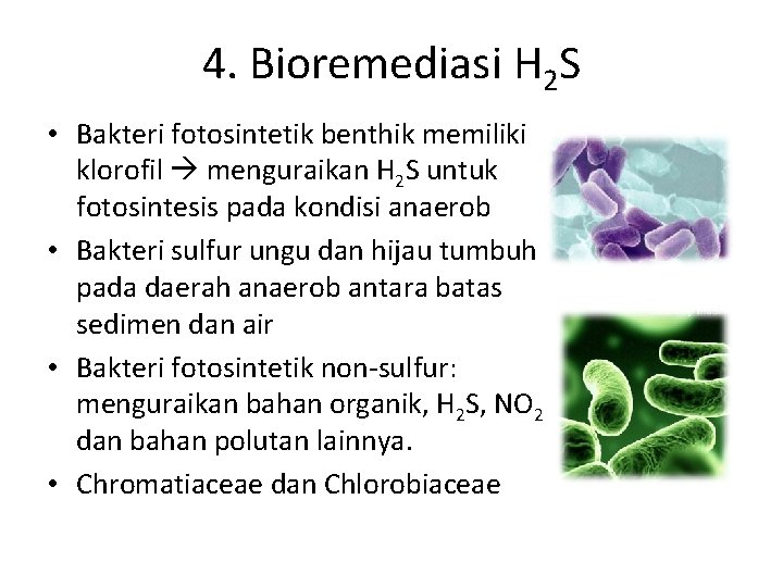 Definisi Bioremediasi Setiap proses yang menggunakan mikroorganisme fungi